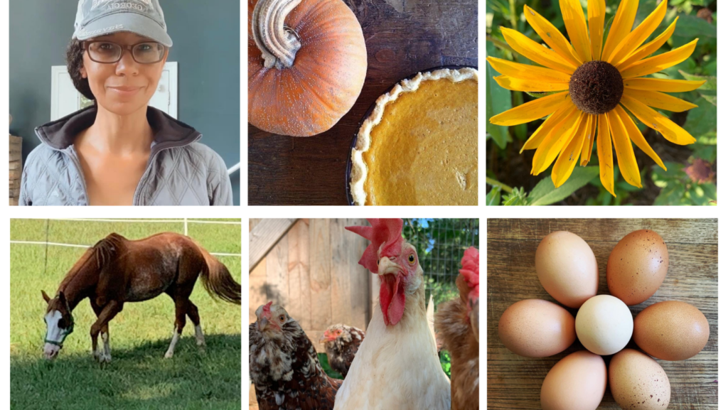 Free Homesteader’s Simple Planner Download | Healthy Homesteading