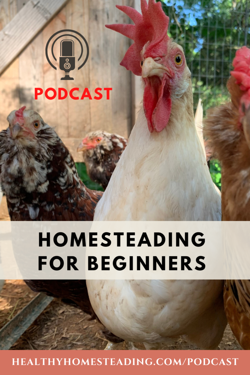 Homesteading for Beginners Podcast: How to Start Your Journey | Healthy ...