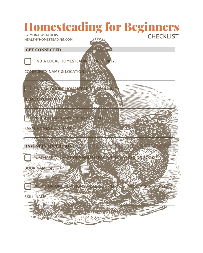 HELPING BEGINNER HOMESTEADERS | Healthy Homesteading : Homesteading for ...